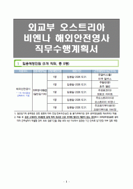 외교부 오스트리아 비엔나 해외안전영사 직무수행계획서-1페이지