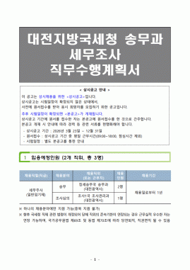 대전지방국세청 송무과 세무조사 직무수행계획서-1페이지