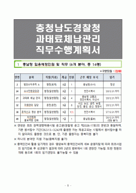 충청남도경찰청 과태료체납관리 직무수행계획서-1페이지