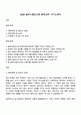 2026 솔루스첨단소재 회계-1페이지