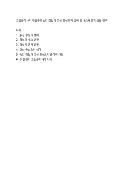 고전문학사의 대립구도 송강 정철과 고산 윤선도의 생애 및 배소와 은거 생활 탐구-1페이지