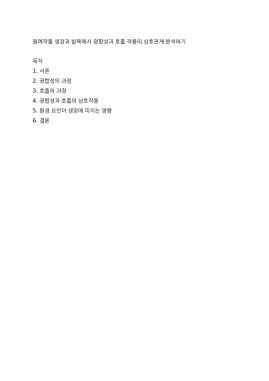 원예작물 생장과 발육에서 광합성과 호흡 작용의 상호관계 분석하기-1페이지