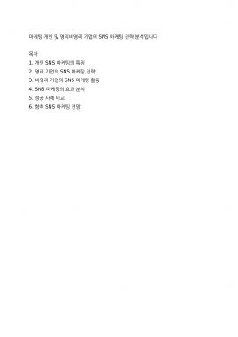 마케팅 개인 및 영리비영리 기업의 SNS 마케팅 전략 분석입니다-1페이지