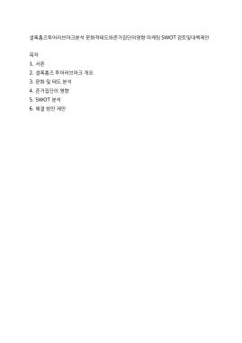셜록홈즈투어러브마크분석 문화적태도와준거집단의영향 마케팅SWOT검토및대책제안-1페이지