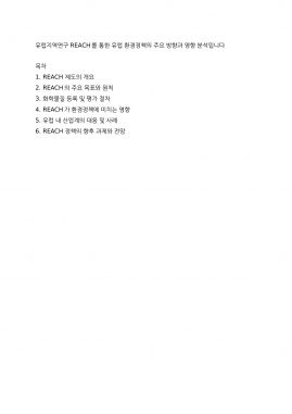 유럽지역연구 REACH를 통한 유럽 환경정책의 주요 방향과 영향 분석입니다-1페이지