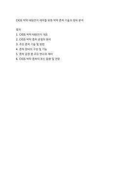 CIGS 박막 태양전지 제작을 위한 박막 증착 기술과 장비 분석-1페이지