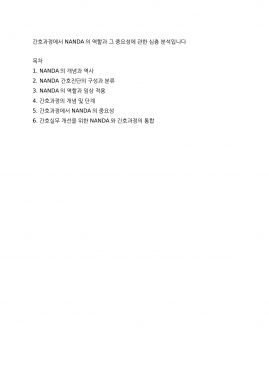 간호과정에서 NANDA의 역할과 그 중요성에 관한 심층 분석입니다-1페이지