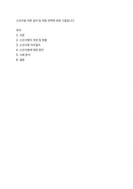 소년사범 처분 절차 및 대응 전략에 관한 고찰입니다-1페이지