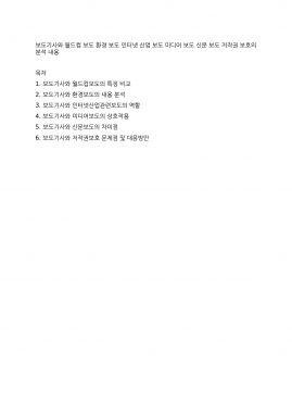 보도기사와 월드컵 보도 환경 보도 인터넷 산업 보도 미디어 보도 신문 보도 저작권 보호의 분석 내용-1페이지
