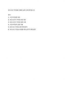 보도사진 저작권법 이해와 실제 사례 분석입니다-1페이지