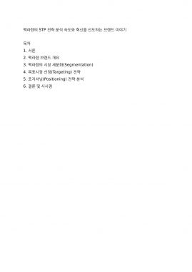 맥라렌의 STP 전략 분석 속도와 혁신을 선도하는 브랜드 이야기-1페이지