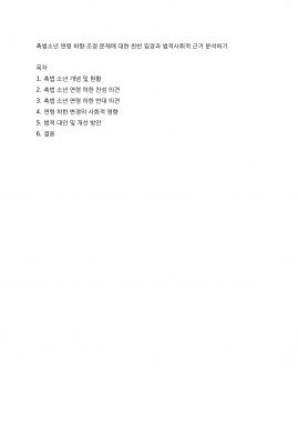 촉법소년 연령 하향 조정 문제에 대한 찬반 입장과 법적사회적 근거 분석하기-1페이지