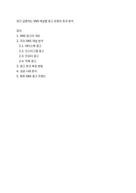 최근 급증하는 SNS채널별 광고 유형과 효과 분석-1페이지