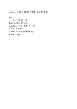 스포츠 조직관리론 조직 효율성 사례 분석 및 실제 적용 방안-1페이지