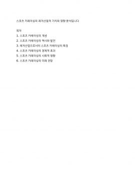 스포츠 카레이싱의 레저산업적 가치와 영향 분석입니다-1페이지