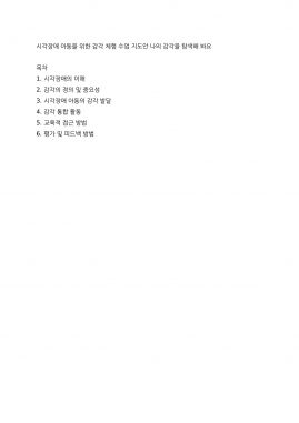 시각장애 아동을 위한 감각 체험 수업 지도안 나의 감각을 탐색해 봐요-1페이지