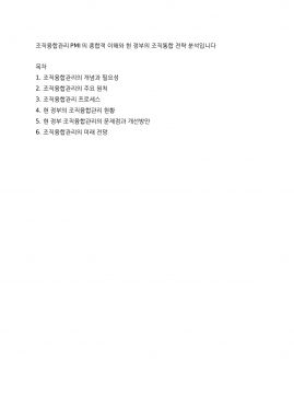 조직융합관리PMI의 종합적 이해와 현 정부의 조직통합 전략 분석입니다-1페이지
