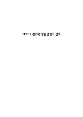 IT839 전략에 대한 종합적 검토-1페이지