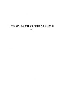 간호학 검사 결과 분석 혈액 생화학 전해질 소변 검사-1페이지