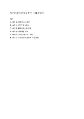 미국인의 문화가 투영된 축구의 세계를 탐구하다-1페이지