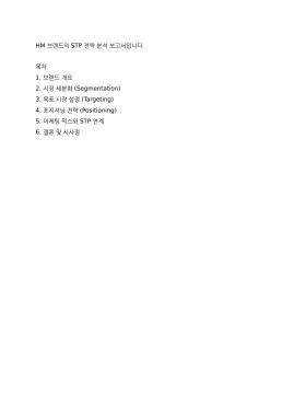 HM 브랜드의 STP 전략 분석 보고서입니다-1페이지