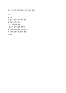 중국 내 소수민족의 이해와 주요 특성 분석입니다-1페이지
