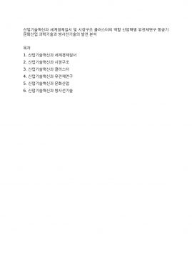 산업기술혁신과 세계경제질서 및 시장구조 클러스터의 역할 산업혁명 유전체연구 항공기 문화산업 과학기술과 방사선기술의 발전 분석-1페이지
