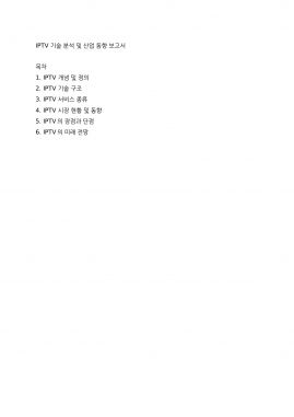 IPTV 기술 분석 및 산업 동향 보고서-1페이지