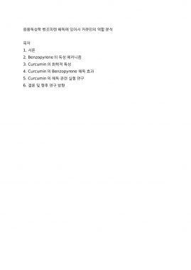 응용독성학 벤조피렌 해독에 있어서 커큐민의 역할 분석-1페이지