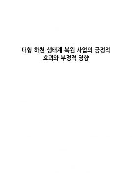 대형 하천 생태계 복원 사업의 긍정적 효과와 부정적 영향-1페이지