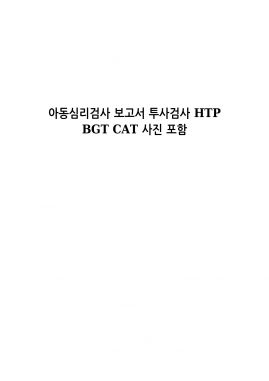 아동심리검사 보고서 투사검사 HTP BGT CAT 사진 포함-1페이지