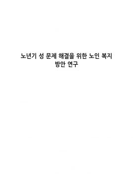 노년기 성 문제 해결을 위한 노인 복지 방안 연구-1페이지