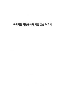 복지기관 자원봉사와 체험 실습 보고서-1페이지