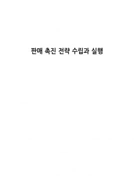 판매 촉진 전략 수립과 실행-1페이지