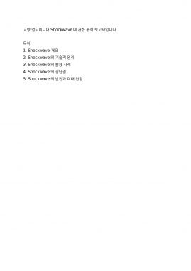 교양 멀티미디어 Shockwave에 관한 분석 보고서입니다-1페이지