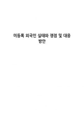 미등록 외국인 실태와 쟁점 및 대응 방안-1페이지