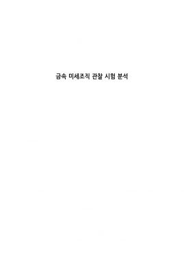 금속 미세조직 관찰 시험 분석-1페이지