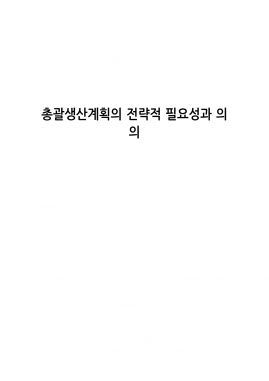 총괄생산계획의 전략적 필요성과 의의-1페이지