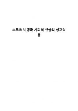 스포츠 비행과 사회적 규율의 상호작용-1페이지