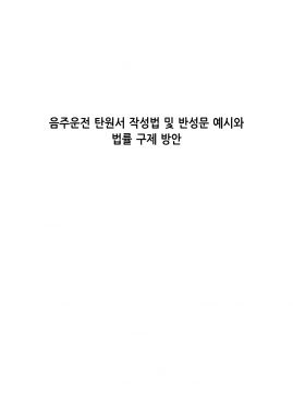 음주운전 탄원서 작성법 및 반성문 예시와 법률 구제 방안-1페이지
