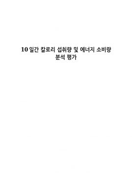 10일간 칼로리 섭취량 및 에너지 소비량 분석 평가-1페이지