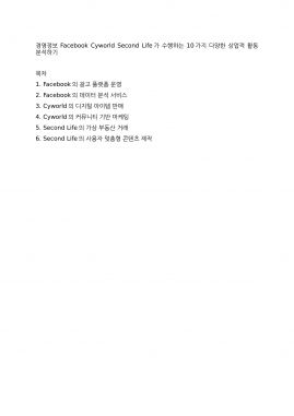 경영정보 Facebook Cyworld Second Life가 수행하는 10가지 다양한 상업적 활동 분석하기-1페이지