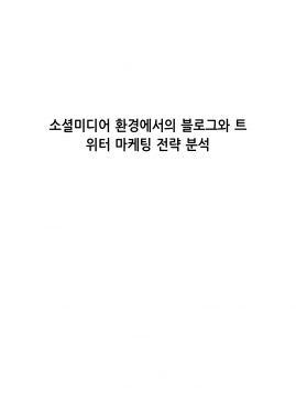 소셜미디어 환경에서의 블로그와 트위터 마케팅 전략 분석-1페이지