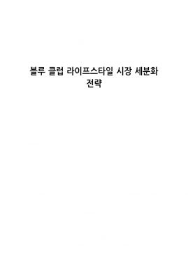 블루 클럽 라이프스타일 시장 세분화 전략-1페이지