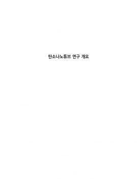 탄소나노튜브 연구 개요-1페이지