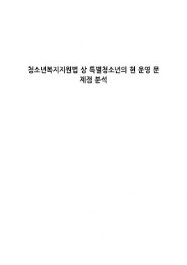 청소년복지지원법 상 특별청소년의 현 운영 문제점 분석-1페이지