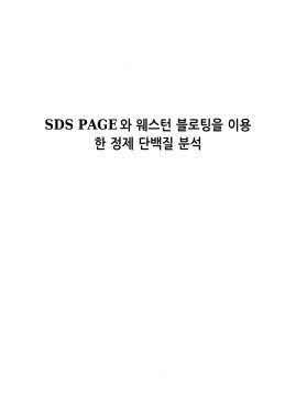SDS PAGE와 웨스턴 블로팅을 이용한 정제 단백질 분석-1페이지