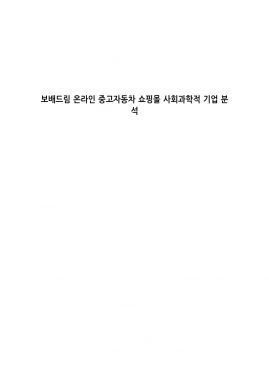 보배드림 온라인 중고자동차 쇼핑몰 사회과학적 기업 분석-1페이지