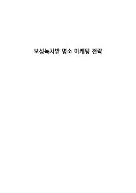 보성녹차밭 명소 마케팅 전략-1페이지