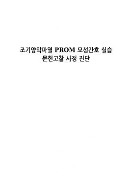 조기양막파열 PROM 모성간호 실습 문헌고찰 사정 진단-1페이지
